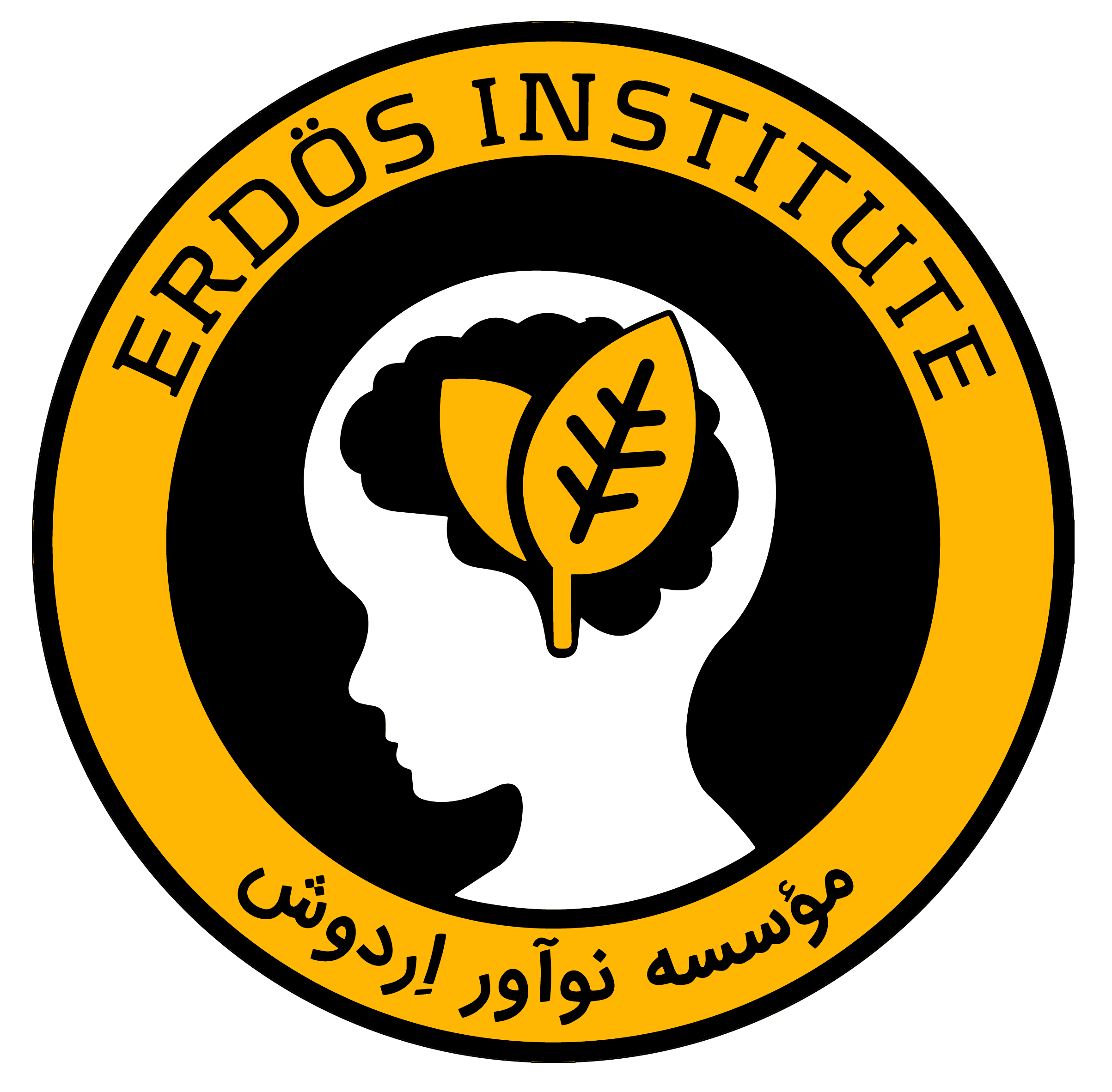 Erdos | Innovative Institute